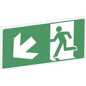 R.Stahl France 274777 | Pictogramme blc/vt, escalier bas gauche, d'un ...