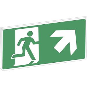 R.Stahl France 274760 | Pictogramme blc/vt, escalier haut droite, d'un ...