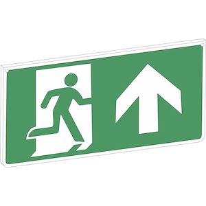 R.Stahl France 274758 | Pictogramme blc/vt haut, d'un côté 6102/6109 ...