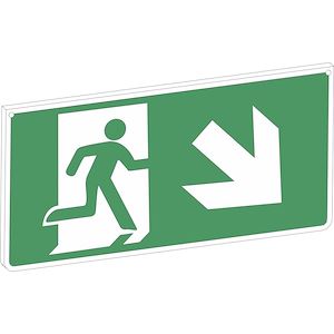 R.Stahl France 274779 | Pictogramme blc/vt, escalier bas, deux côtés ...